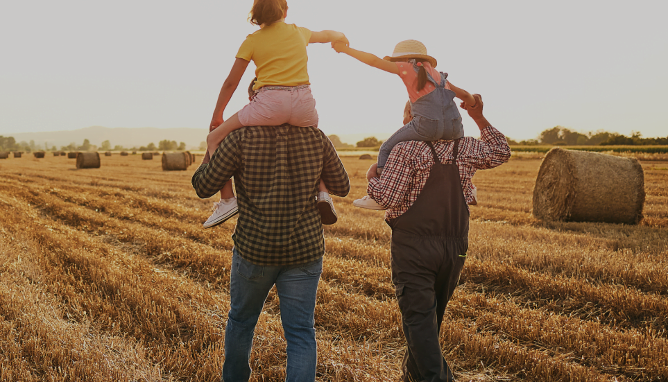 Allied Pinnacle - Welcome - InSeason